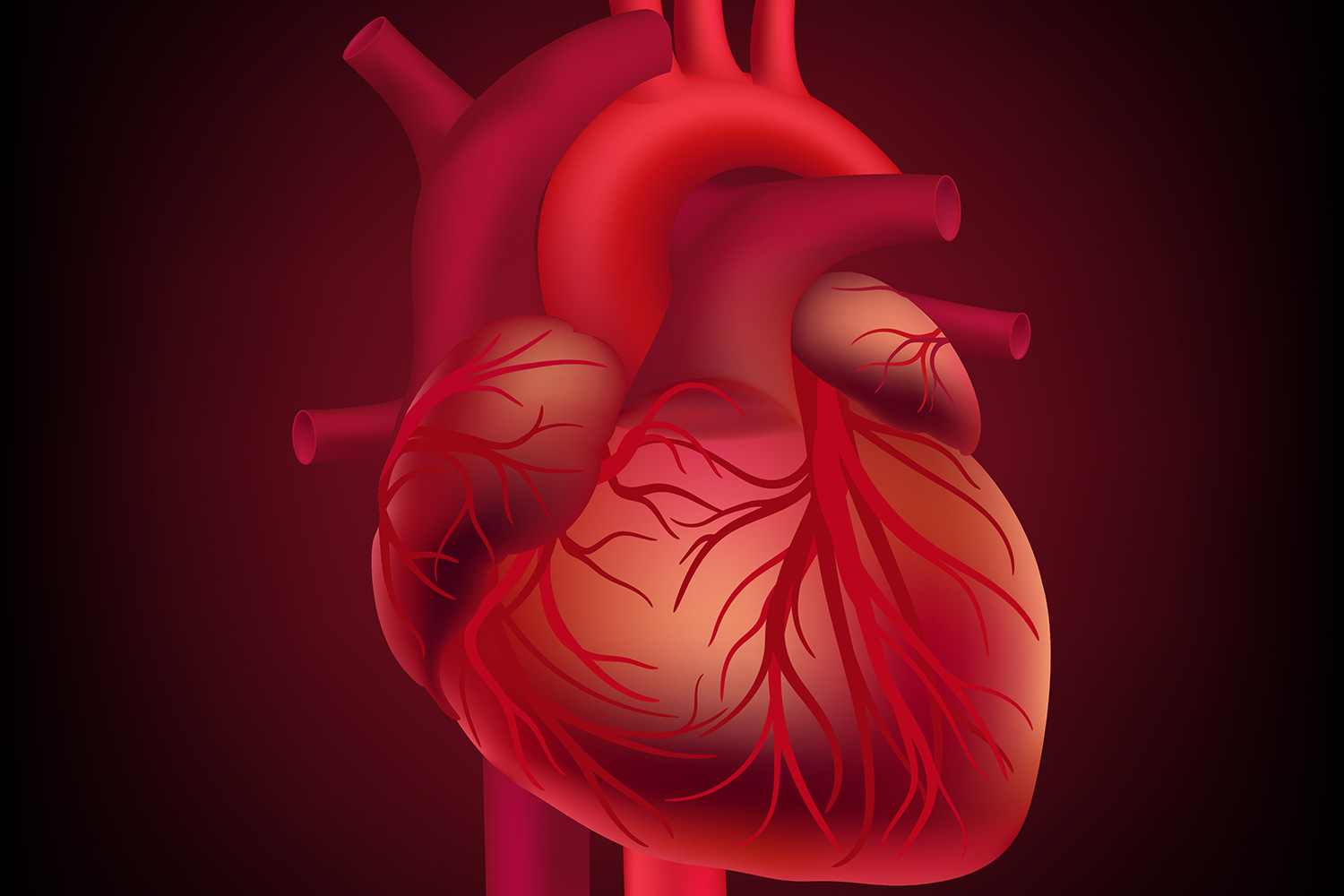 CardioMimic - Cardiac Ablation Testing Solutions